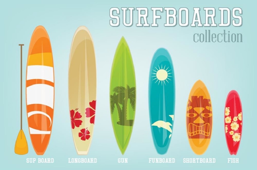 Different Types of Surfboards for Beginners - Hello BMW